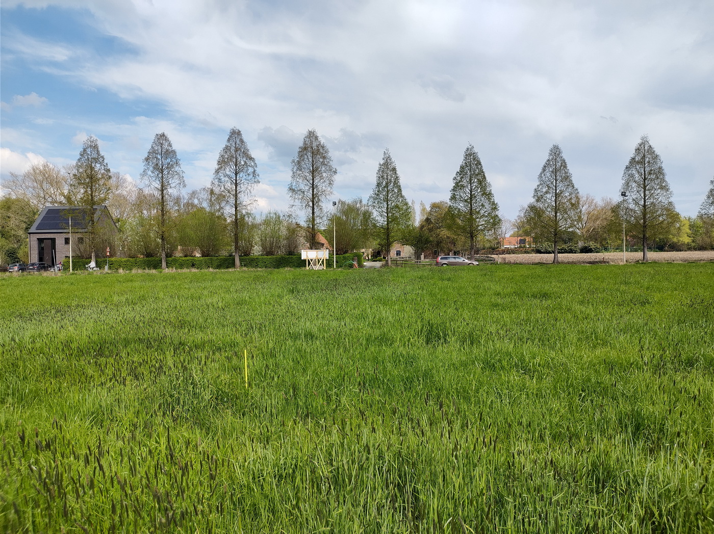 Lot 2 - 650m² - € 360.000 | Verkaveling Rumst