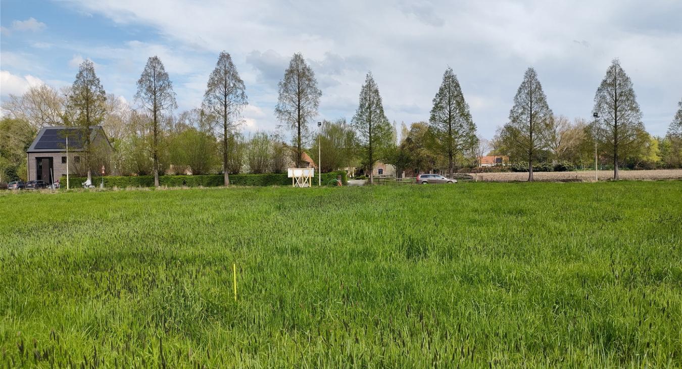 Lot 2 - 650m² - € 360.000 | Verkaveling Rumst